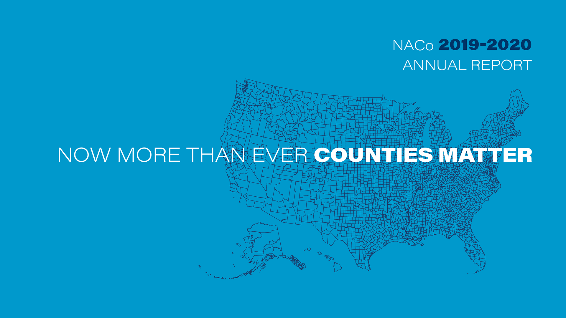 2019-2020 NACo Annual Report