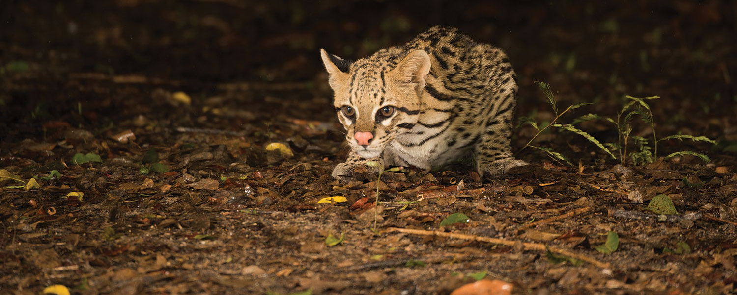 News from Across the Nation - Jan. 9, 2017 | National Association of ...