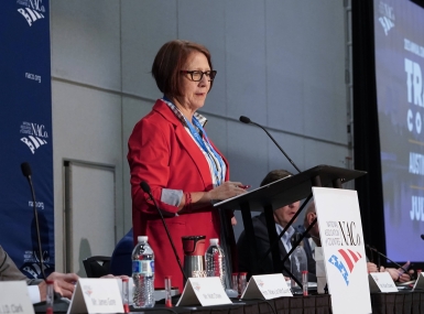 Board of Directors | National Association of Counties